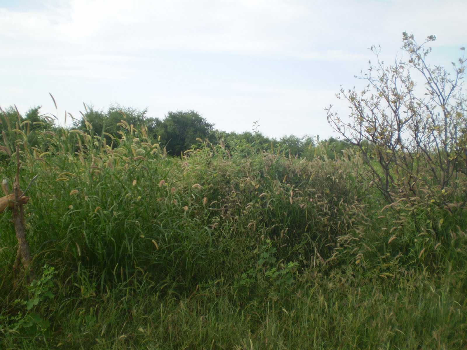 Monguel مونكل: مناظر طبيعية من مقاطعة مونكل