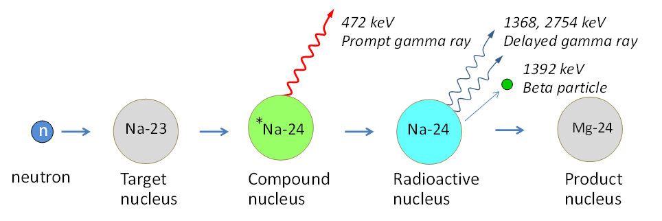 Wichian Note: Prompt Gamma Neutron Activation Analysis) PGNAA 01