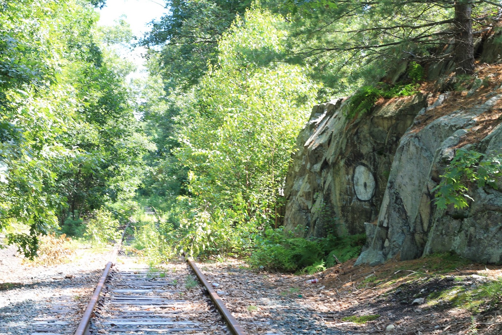 Bay Circuits: Bay Colony Rail Trail Needham MA.