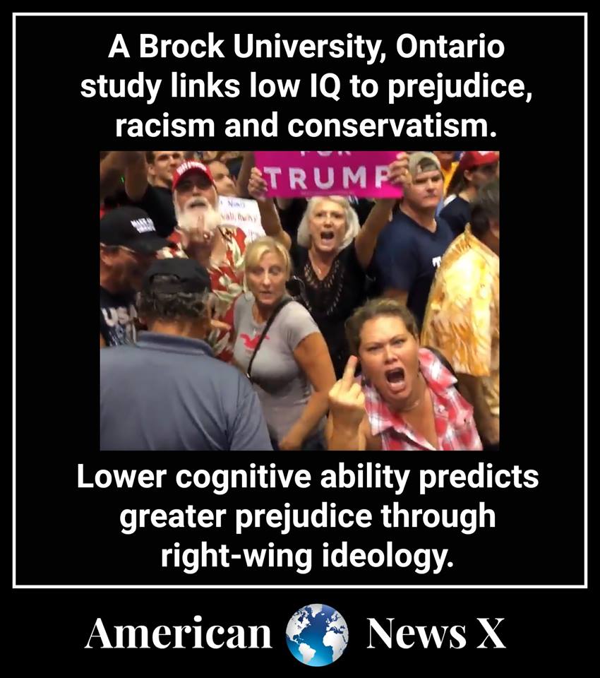 Cognitive Capacity Memes