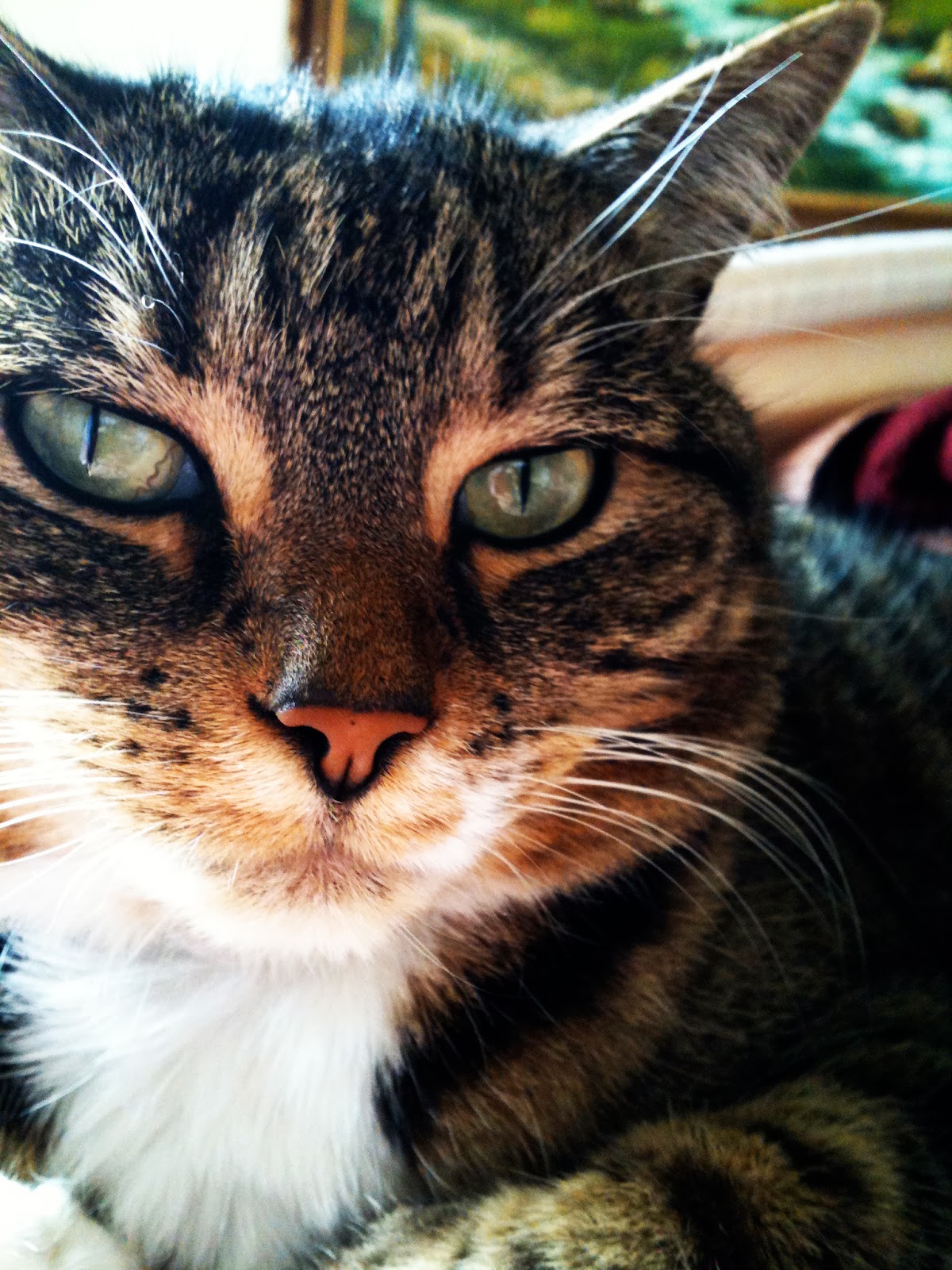 ACF2001 Intro to Digital Art 2015: Photoshop - Adjust Contrast Using Levels