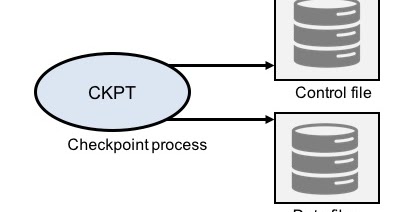 Database Info.: CKPT