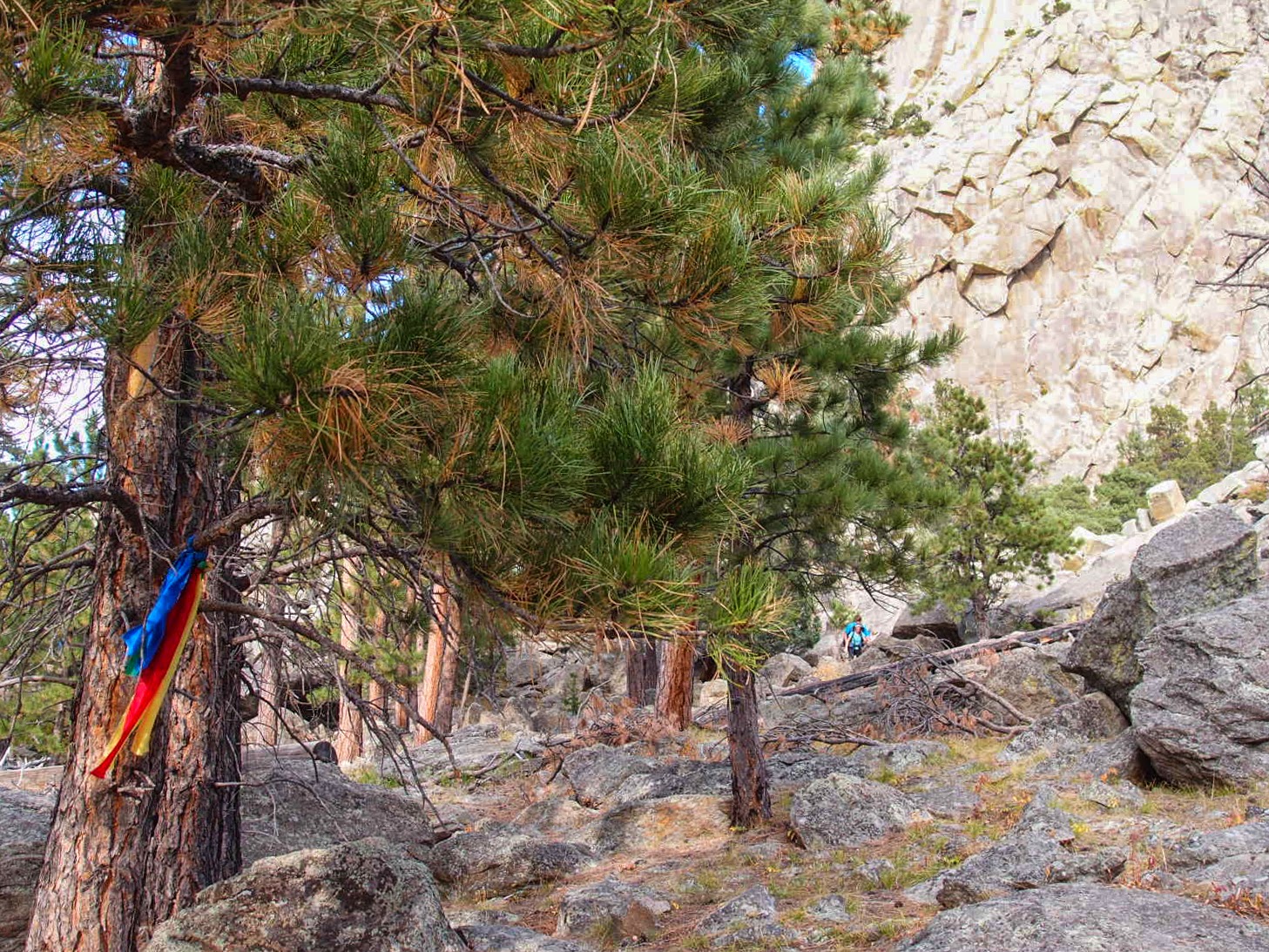 Falcon Flight Path: Mato Tipila, aka Devils Tower