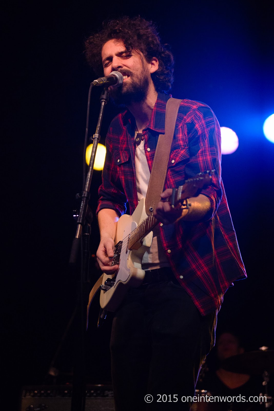 one in ten words: New song from Sam Cash and The Romantic Dogs Tossing ...