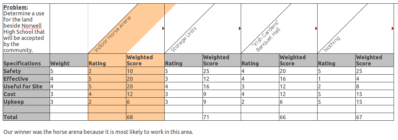 Rachel's CEA: Viability Analysis and Decision Matrix