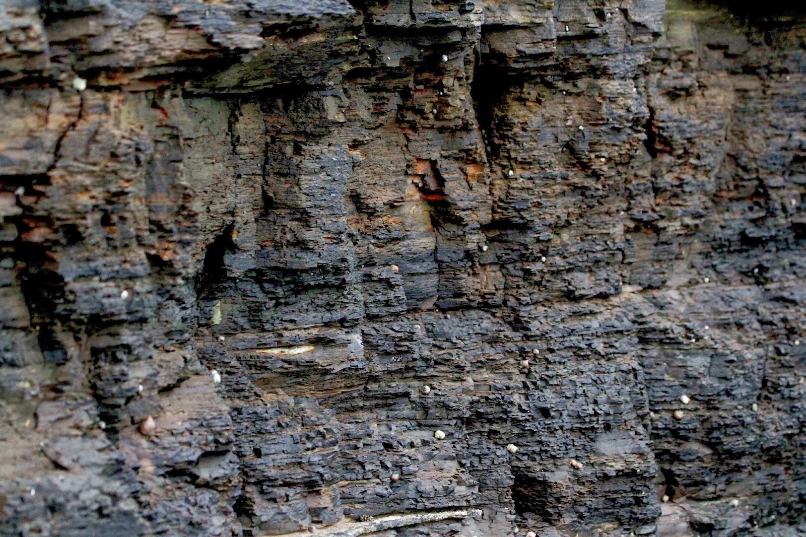 U3A Skye Geology: Volcanic Sills on Jurassic Sedimentary Rocks