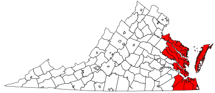 Leaves on the Raney Tree: Henry Isham, Kathryn Banks & Thomas Jefferson