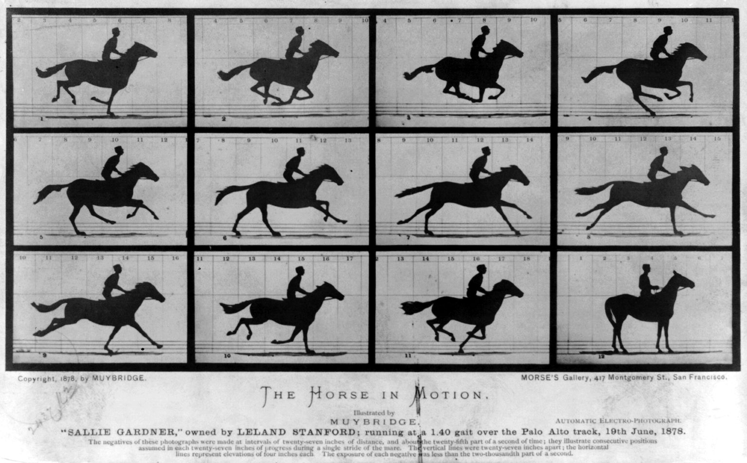 Animation Blog: Edward Muybridge - The Animator's Photographer