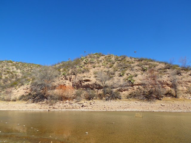 Caballo Lake State Park, New Mexico