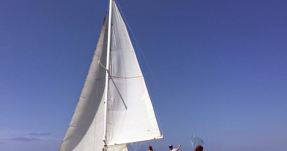 Captain Curran's sailing blog: great Easter sail conditions