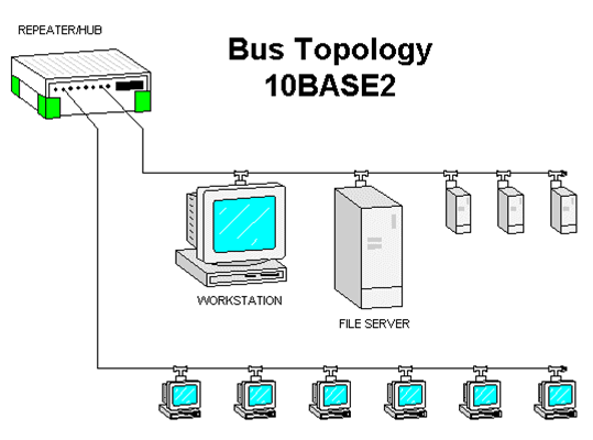 ccna31: Network Topology