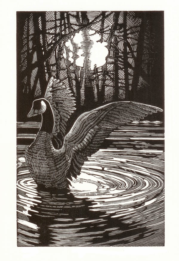 Robin Rosenthal Art: 2014