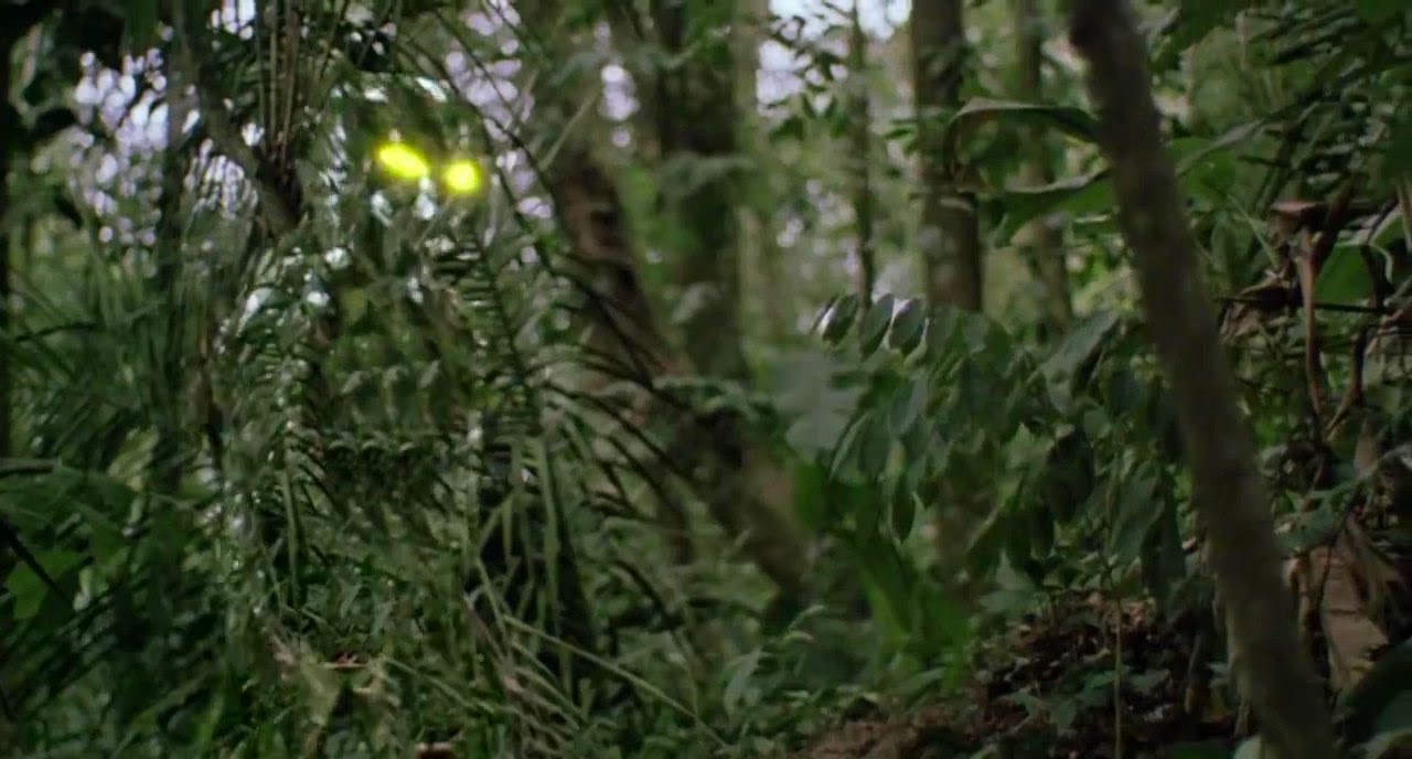 John Kenneth Muir's Reflections on Cult Movies and Classic TV: Thirty ...