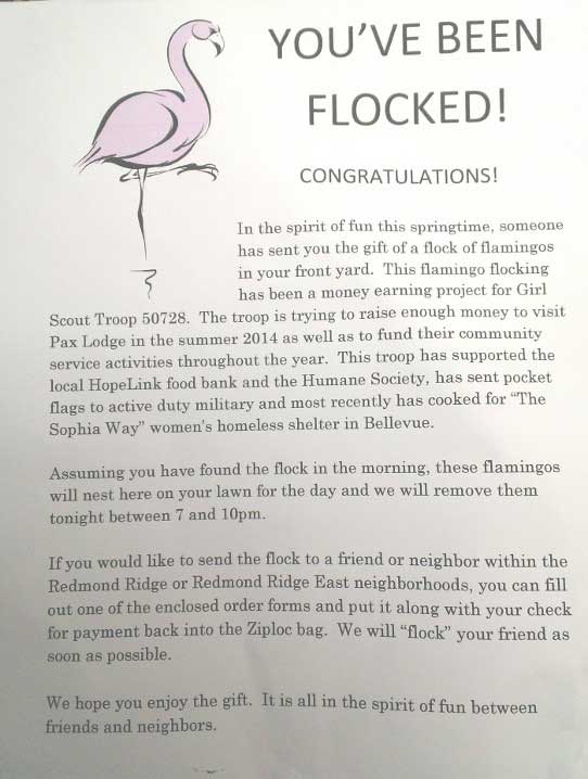 Art e-Journal: "Flocking" - Great Fundraising Idea Using Plastic Lawn ...