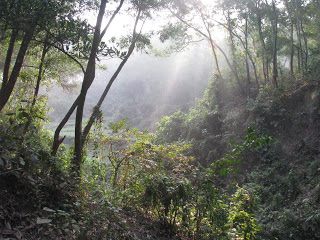 AMAZING BANGLADESH: TEKNAF GAME RESERVE