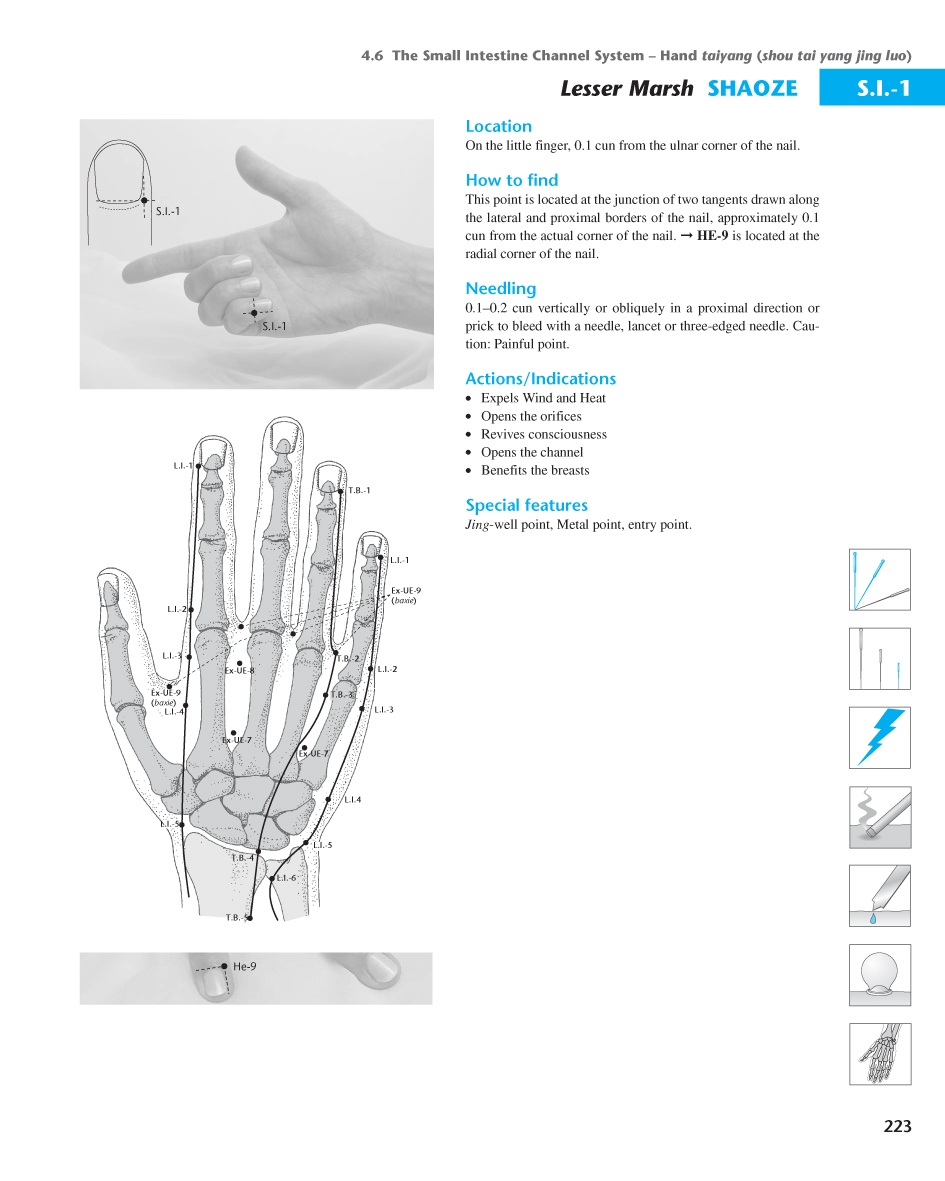 Acupuncture Masters: Acupuncture Points Database - Small Intestine Channel