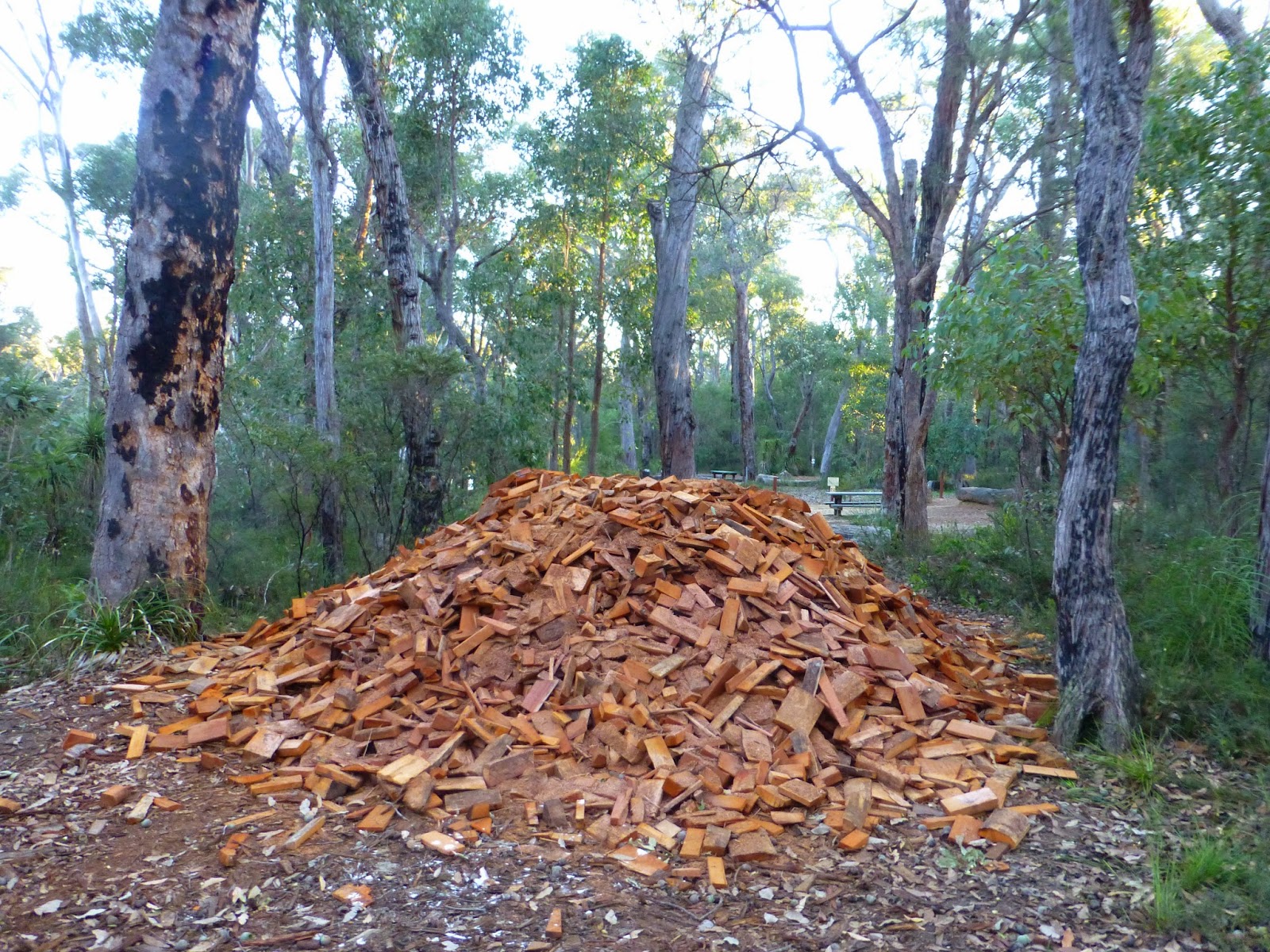 Yacht Envy "HAPPENINGS": KKK No 11 - The Nullarbor