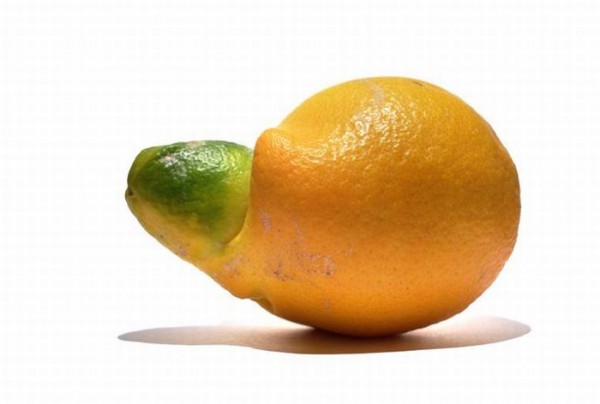 390z: Bizarre Mutant Fruits and Vegetables