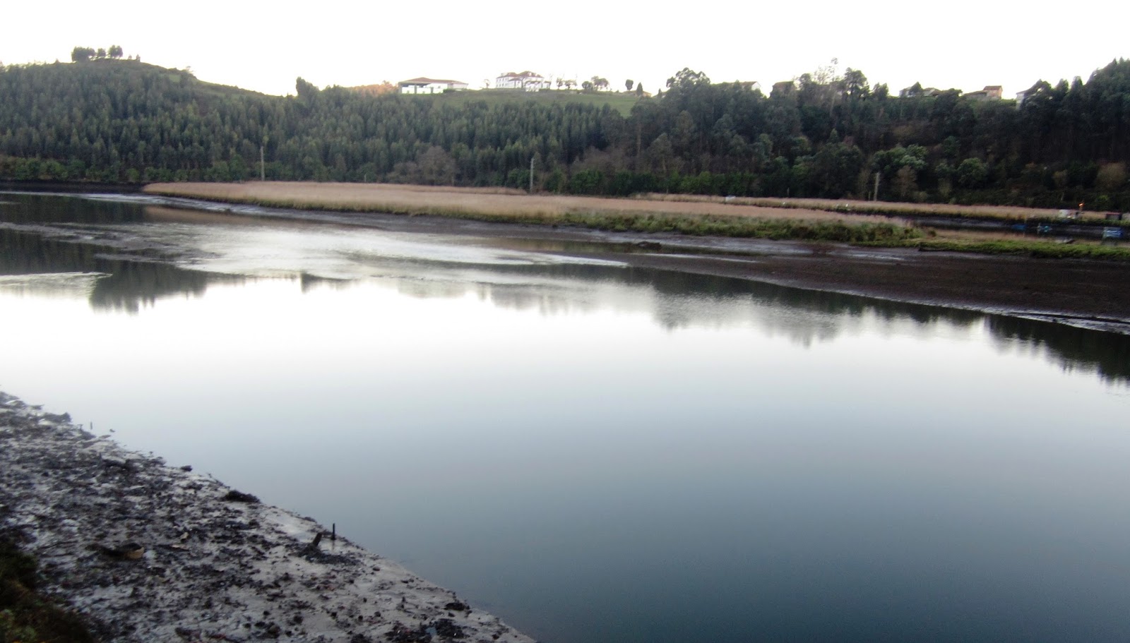 El rincón de Mundín: FIESTA DE LA ANGULA XXXI EDICIÓN: SOTO DEL BARCO ...