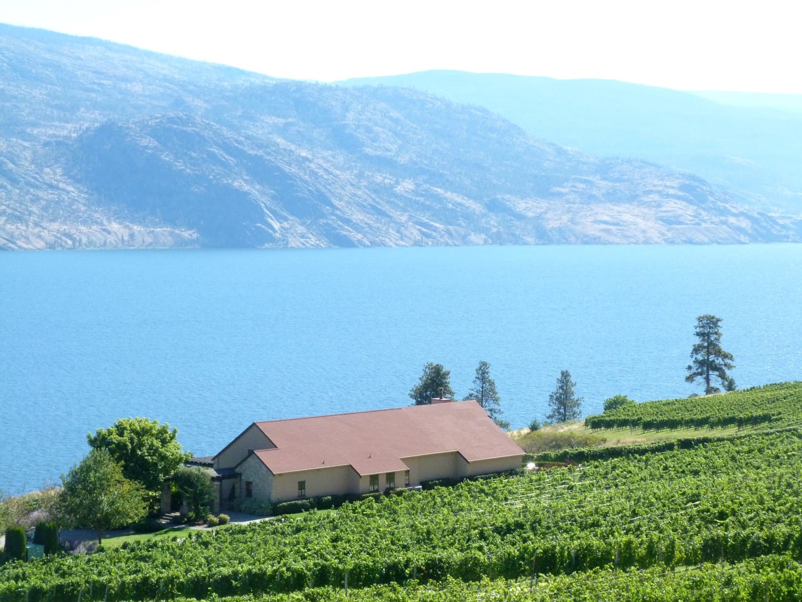 John Schreiner on wine: Greata Ranch gets its own personality