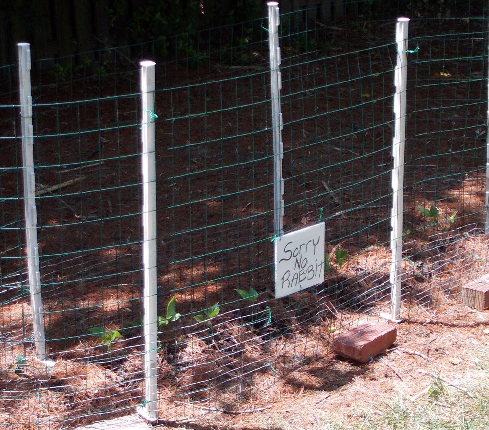 Review Rabbit Proof Fence Review Rabbit Proof Fence Review Rabbit Proof Fence Review Rabbit Proof Fence
