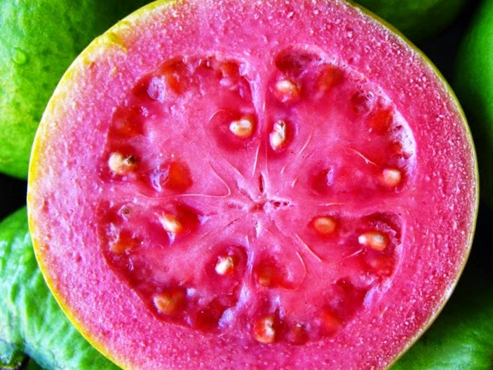 Chandra Veeresha: Benefícios da Goiaba