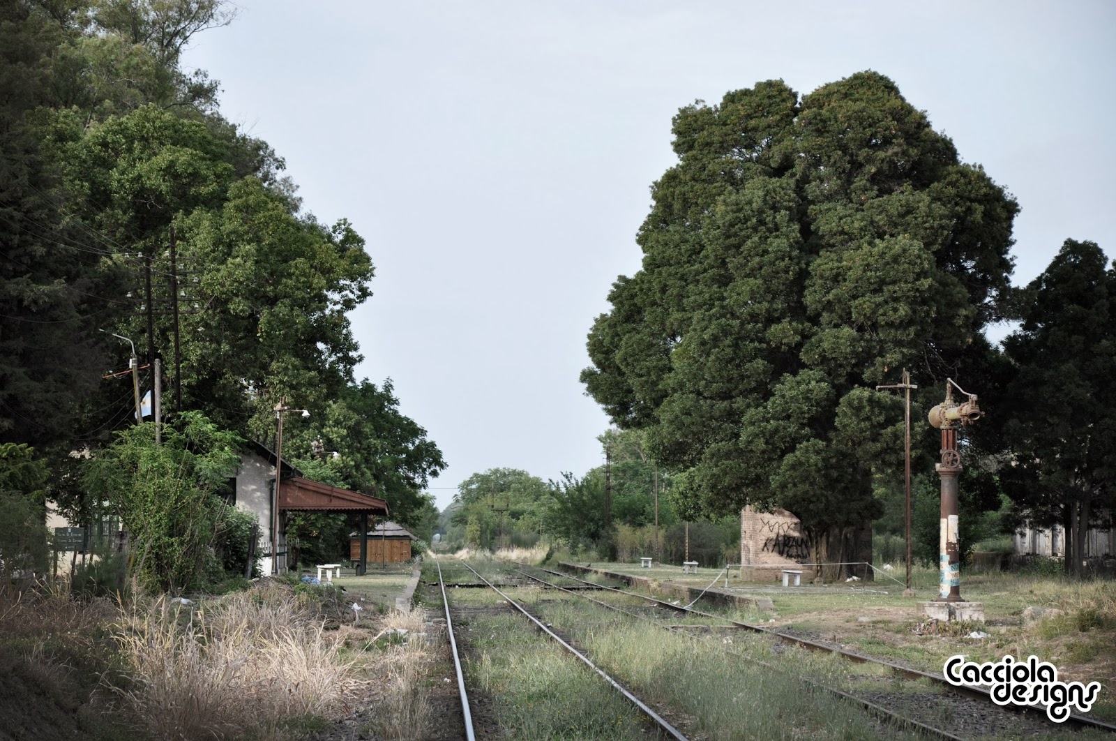 Horizonte Ferroviario: Estaciòn Cortines