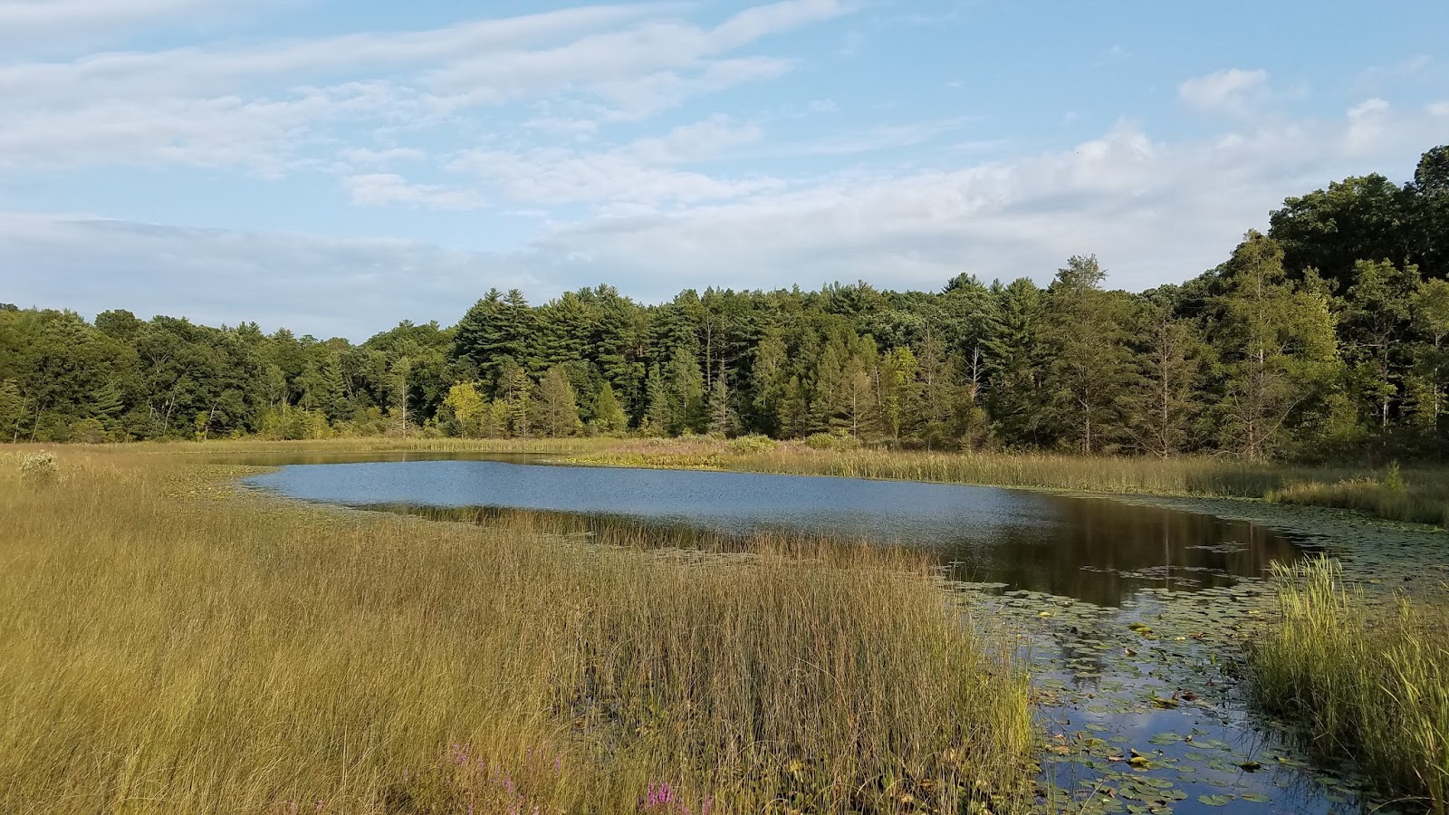Wilderness Wanderings: Pinckney Blind Lake Backpacking Aug '17