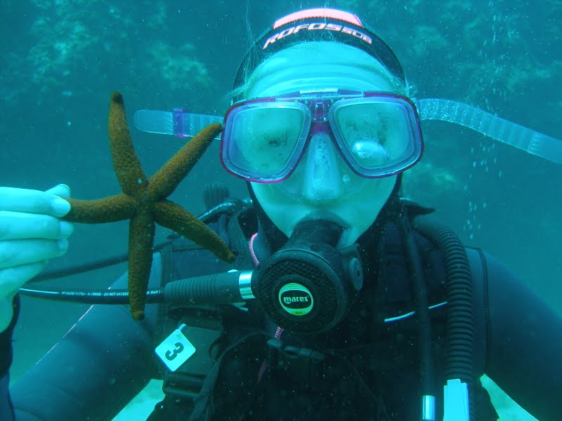 Living and Learning in Italy: SCUBA Club Dive at the Tremiti Islands