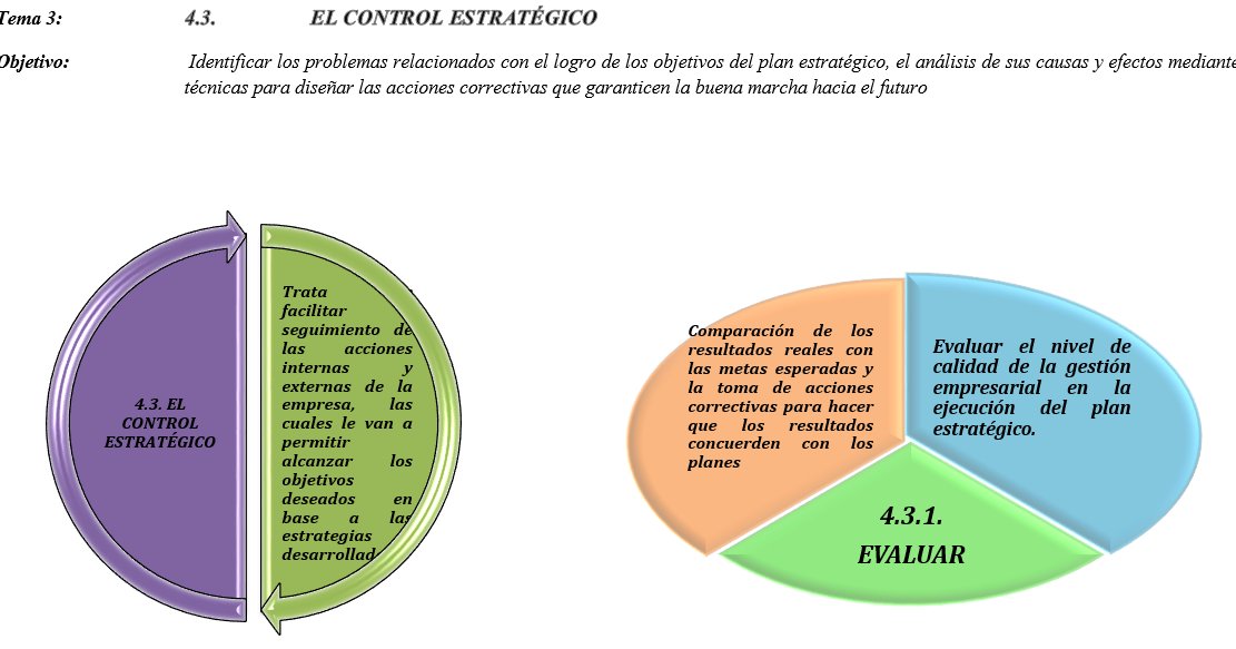 PLANIFICACIÓN ESTRATÉGICA : 4.3 El Control Estratégico