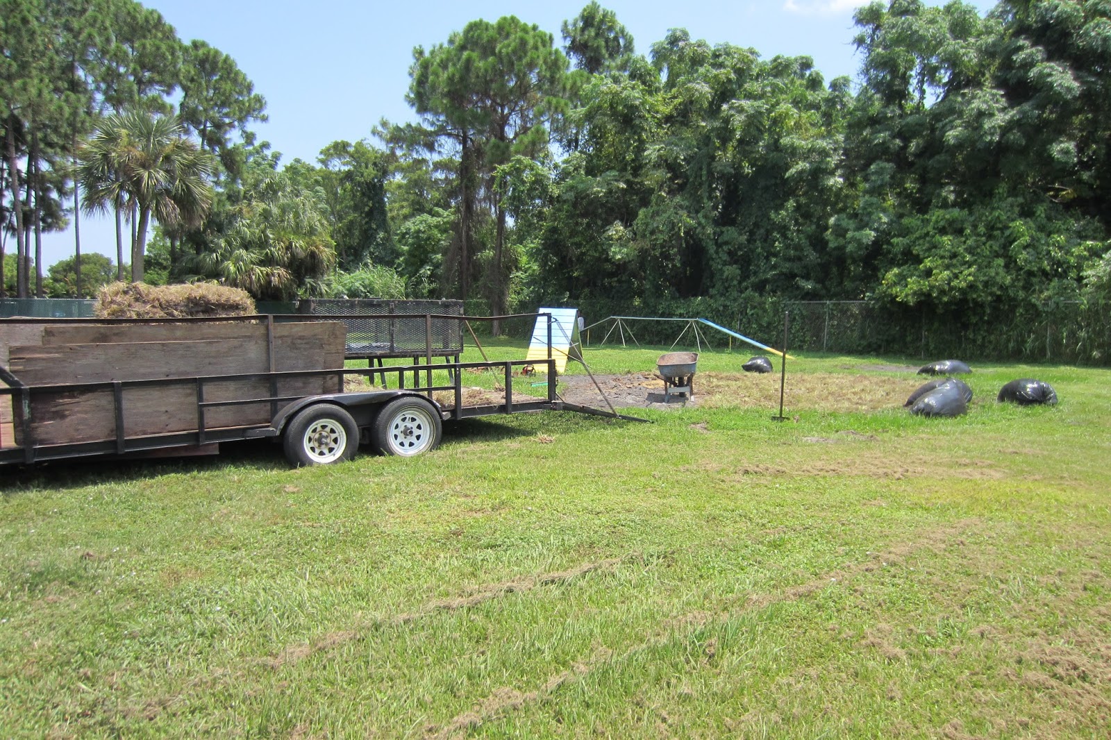 Peggy Adams Animal Rescue League: Field Facelift