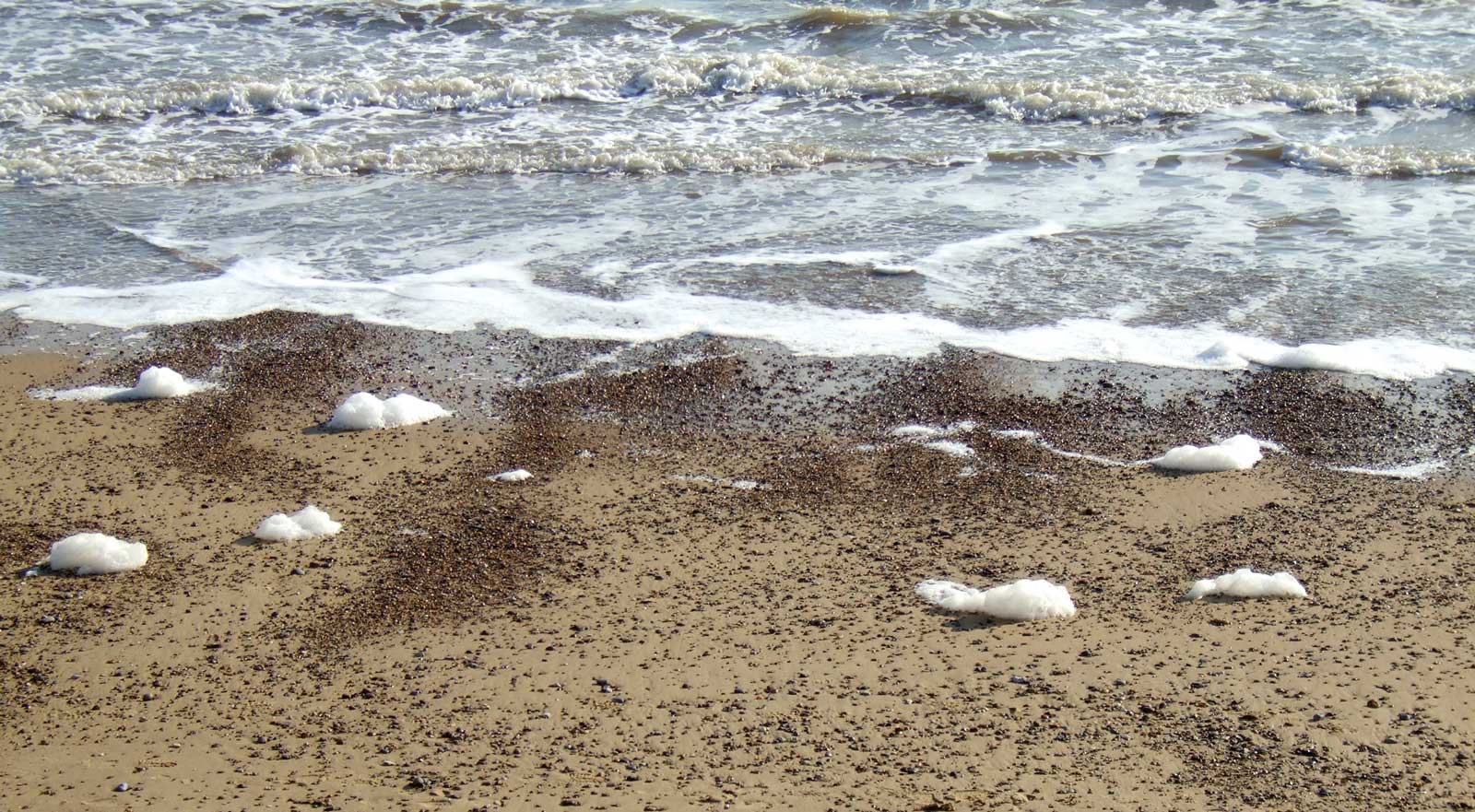 Cephalogenic: The Spume Also Rises