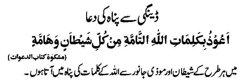 ISLAMIC VIEWS AND OUR LIFE: dangi machar se bachaow ki dua - MADISON ...