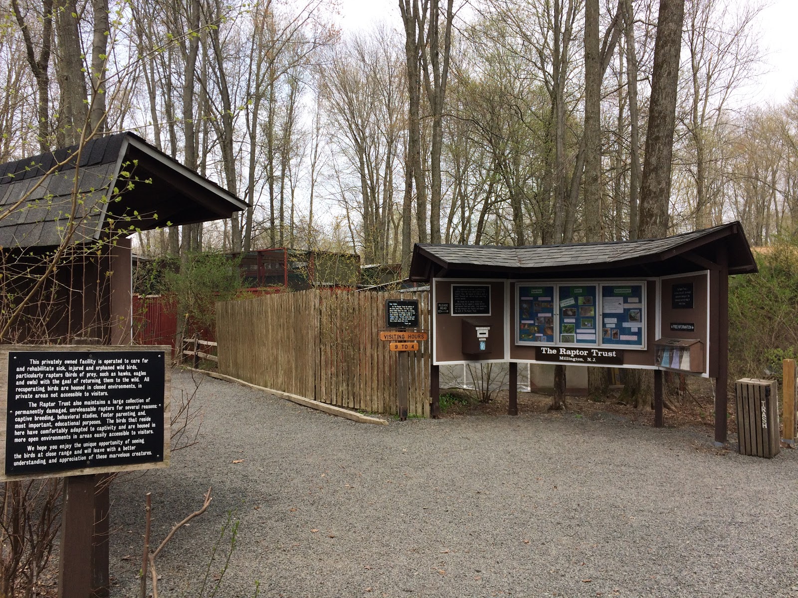 Let's Visit The Raptor Trust in Millington, NJ | The Jersey Momma