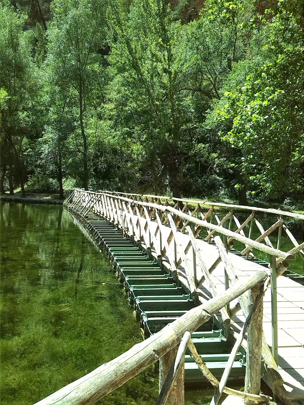 @ JuanPCachero Blog: !!! UNA ILUSIÓN...UN JARDÍN...!!!