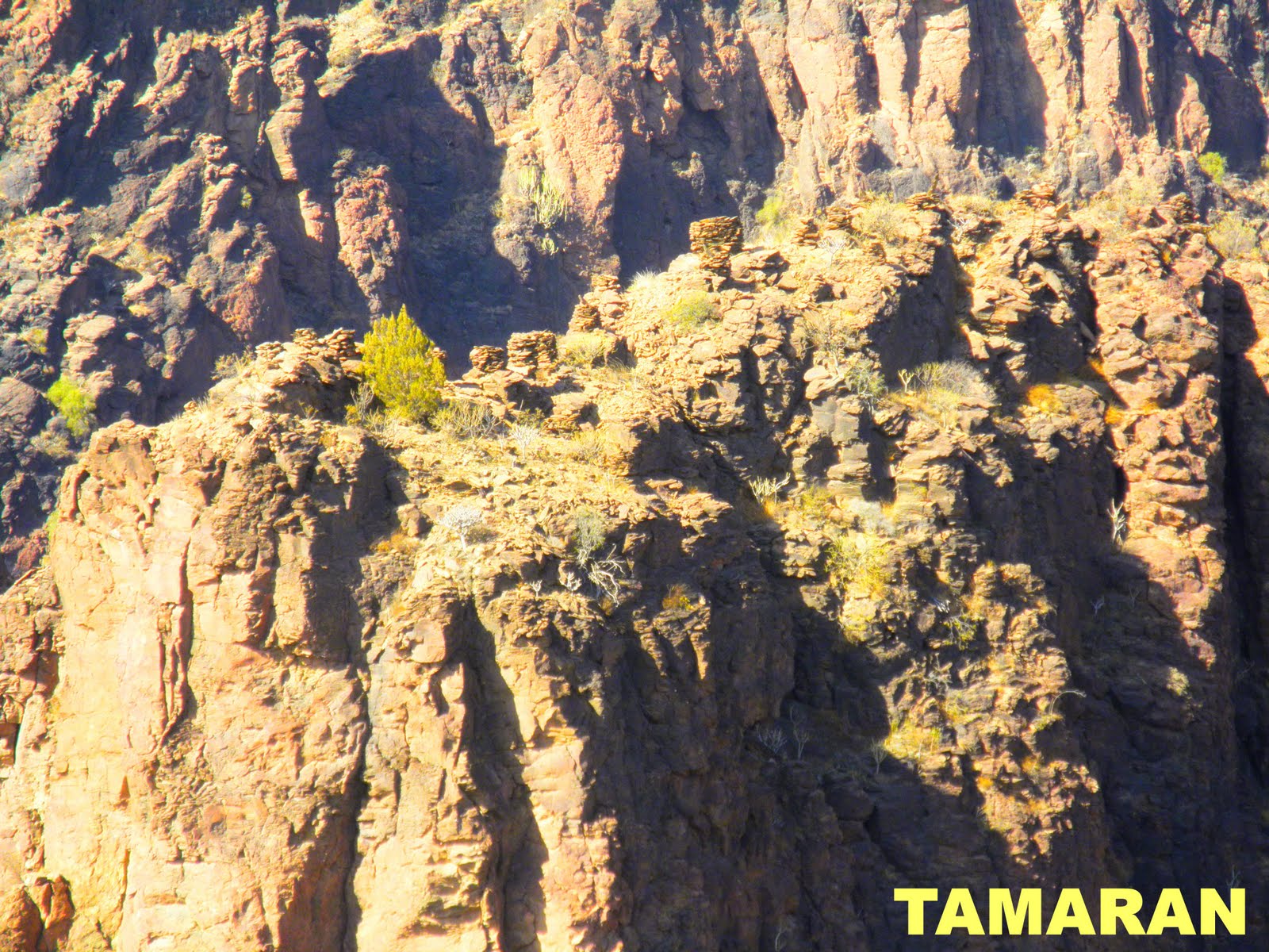 TAMARAN: TORRETAS - GRAN CANARIA - TAMARAN