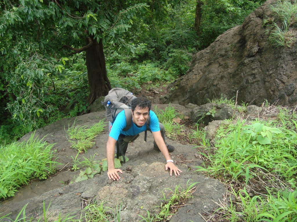 Trekking In Maharashtra: Songiri Fort a.k.a Palasdari Fort (किल्ले ...