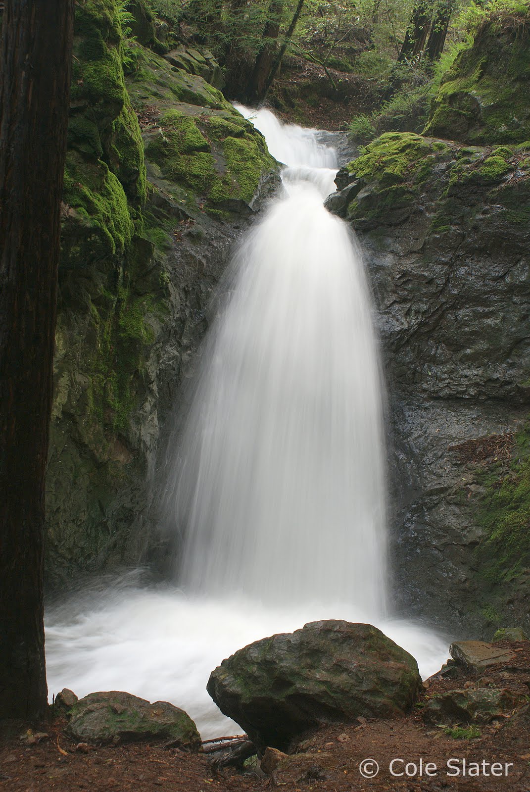 Cole's Trail Tales: Marin Waterfalls Hike - Cascade Falls in Mill ...