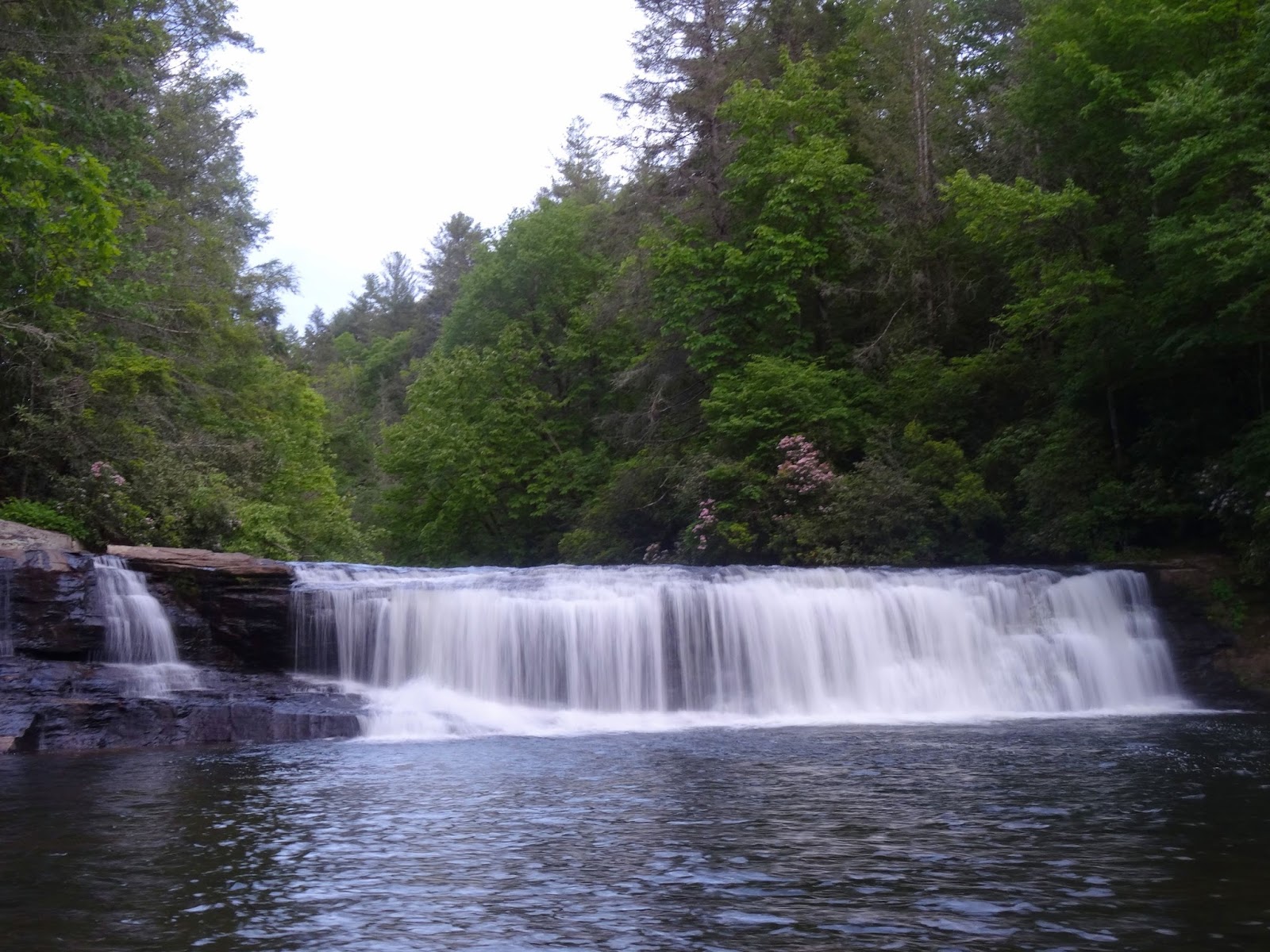 Femme au foyer: On the hunt for the blue ghost