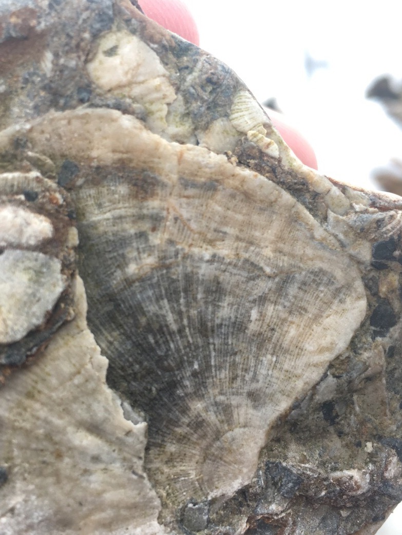 Wisconsin Geology: Interactive GIS maps