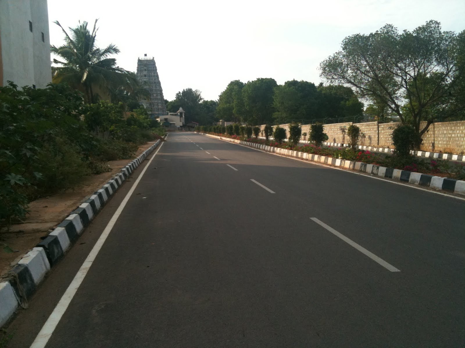 Bangalore Infra Plus: Decks cleared for a road through GKVK