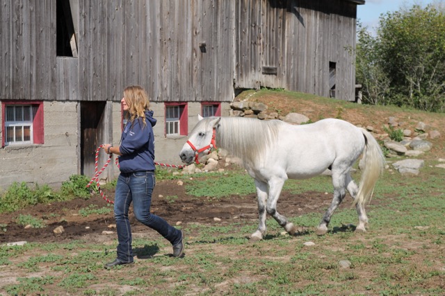 Reflections from Crumbly Acres: Willow Creek Stables Open House