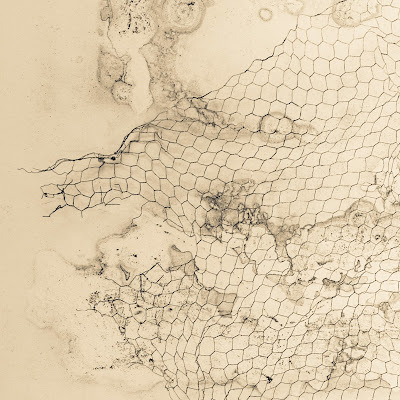 jean larson photography