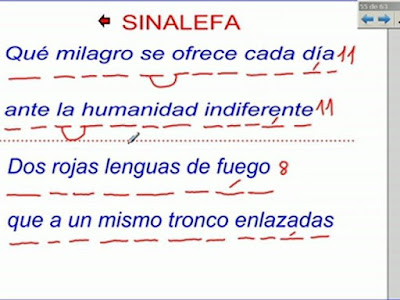 Moclino!! El Rincón del Tutor.: SINALEFA