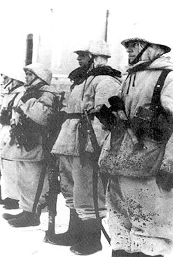 Blaue Division: Las Grandes Medallas de la División Azul