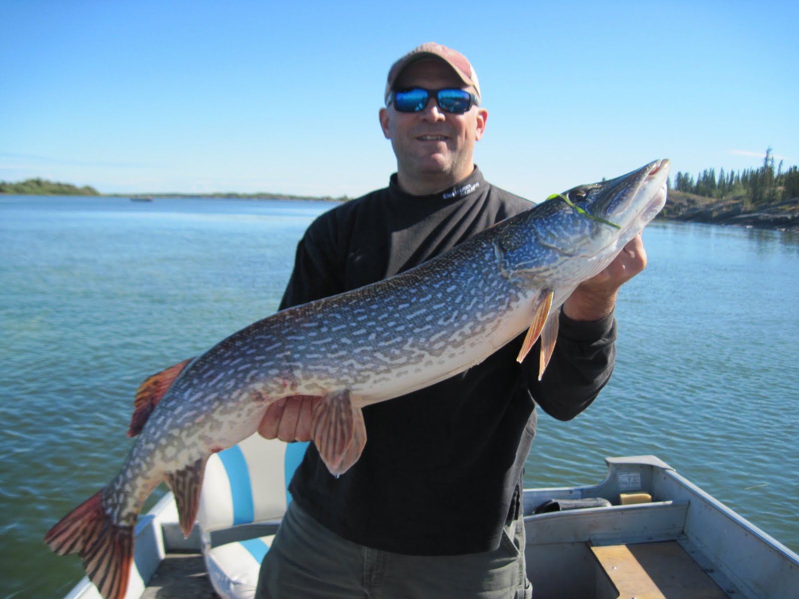 Taltson Bay Big Pike Lodge: August 20-26. The Great Slave Mafia Report