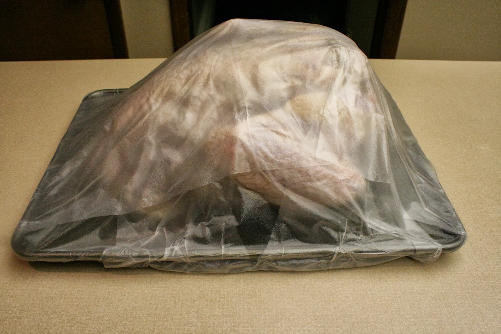 The Bussis Stop: Fun Food Friday- Grandma's Turkey and Stuffing