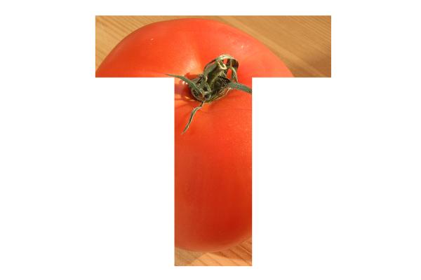 Stacey's Incredible Kids, LLC: Letter T