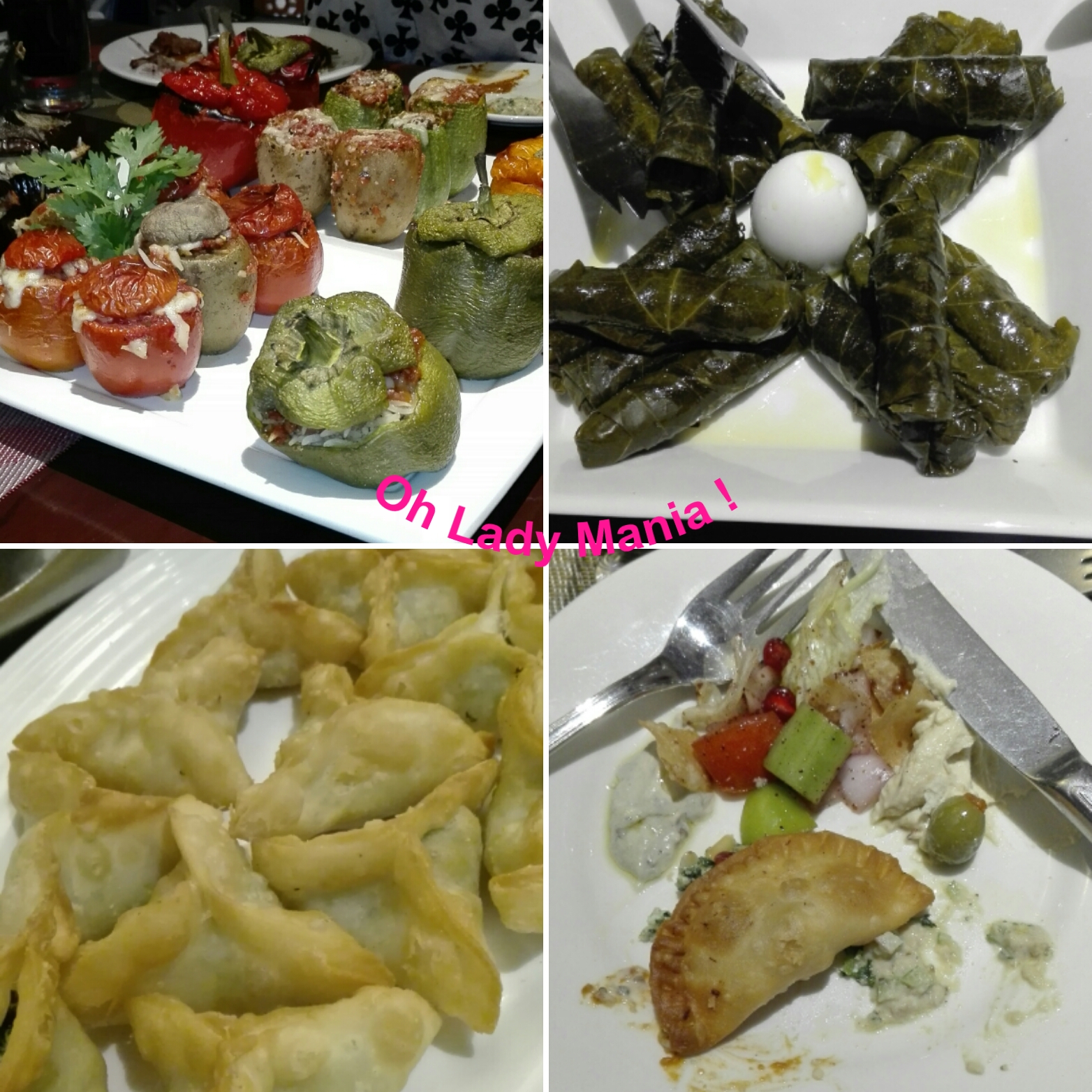 Oh, Lady Mania!: Review - An Insider's Guide To Arabic Food Festival At ...