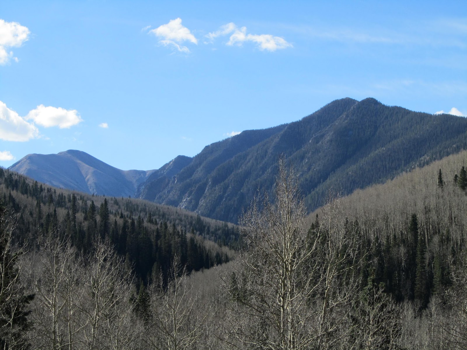 Tomcat's Outdoor Adventures: Backpacking New Mexico's Pecos Wilderness